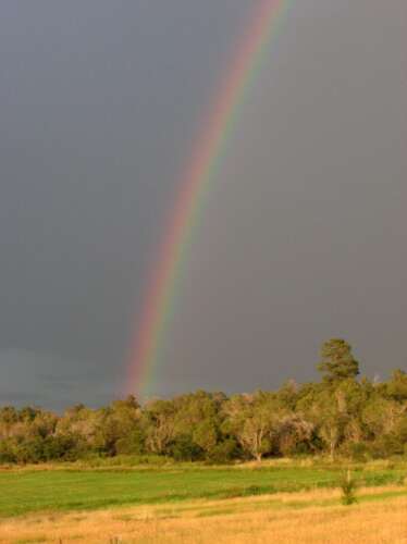 Rainbow dazzles - The Durango Herald