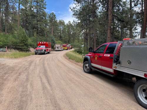 Woman billed $9,000 for Forest Lakes fire costs - The Durango Herald