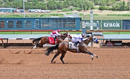 Stakes action features top runners at Albuquerque Downs - The Tri-City ...