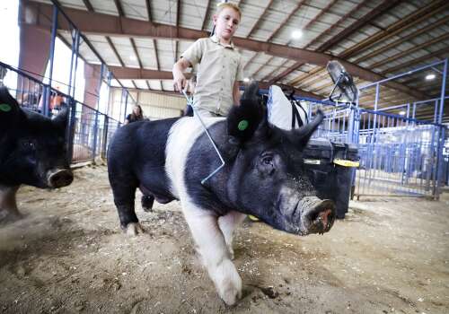 La Plata County Fair kicks off Day One - The Durango Herald