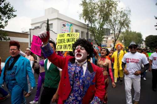 Angry circus performers aren’t clowning around - The Durango Herald