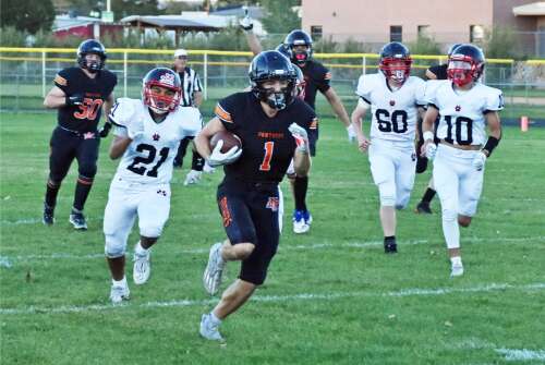 Panthers blank Bobcats, extend winning streak - The Journal