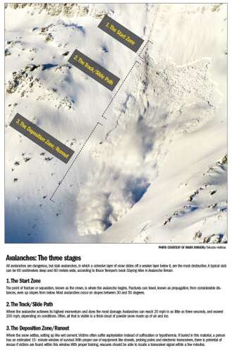 Anatomy of an avalanche - The Durango Herald