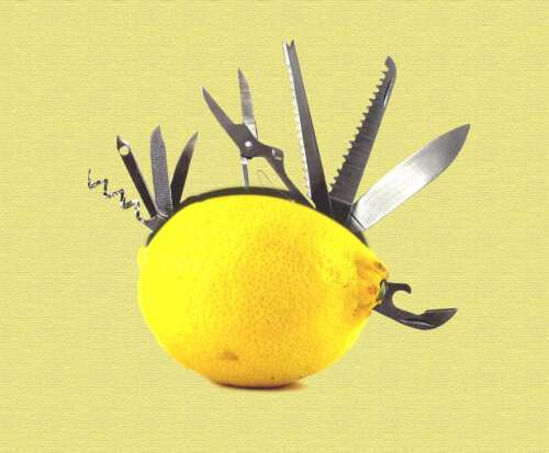 The functional fruit - The Durango Herald