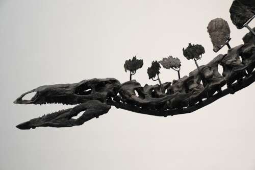 $45 million record-breaking stegosaurus fossil found in Colorado will ...