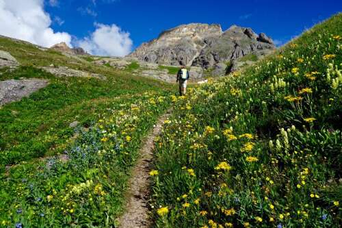 V2: Ice Lake Basin’s accessible thirteener - The Durango Herald