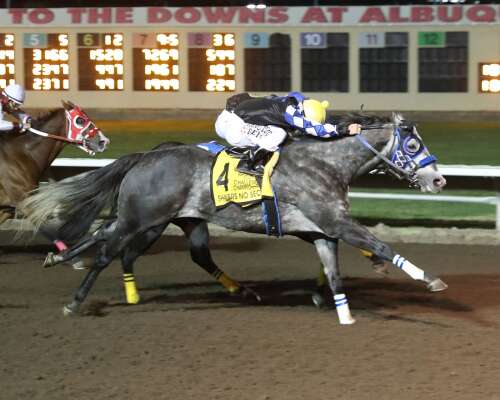 Downs at Albuquerque wraps up 2024 live horse racing season - The Tri ...