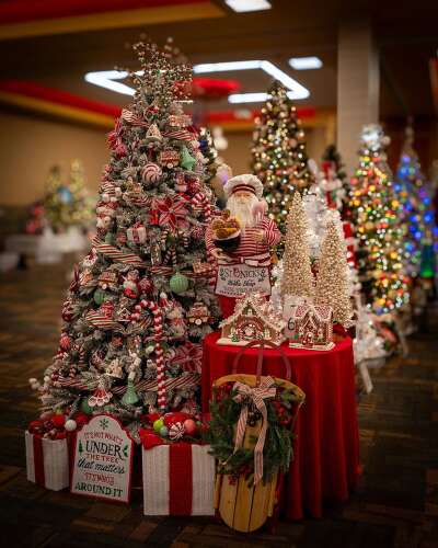 Festival of Trees returns for the holiday season in Farmington, Aztec ...