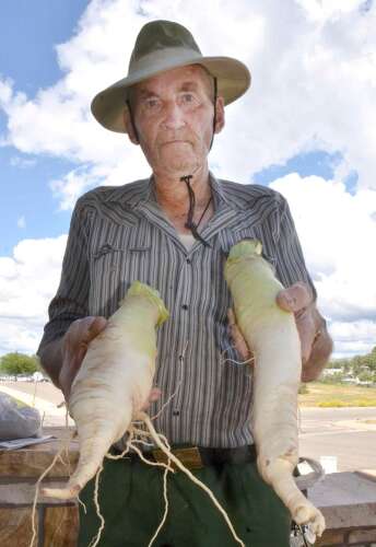 Radish man - The Journal