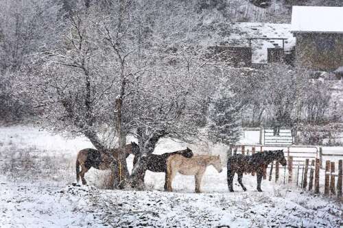 More snow expected Monday evening and Tuesday in Cortez - The Journal