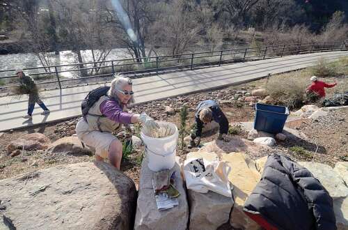 CSU Extension Office opens applications for Master Gardener program ...