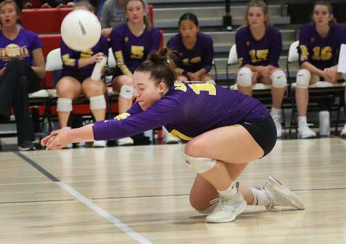BHS volleyball goes down swinging - The Durango Herald