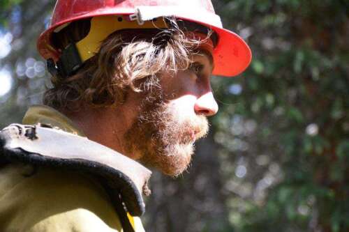 PCC Southwest to offer introductory forestry and fire mitigation ...