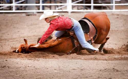 Durango Fiesta Days to feature parade, rodeos through weekend - The ...