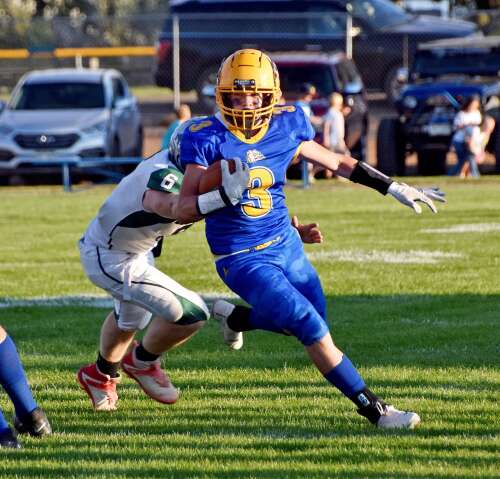 Bulldogs, Bears and Panthers earn gridiron victories - The Journal