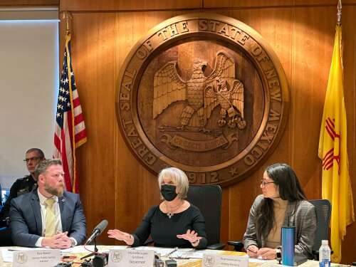 Latest federal court order favors right to carry guns in N.M. public ...