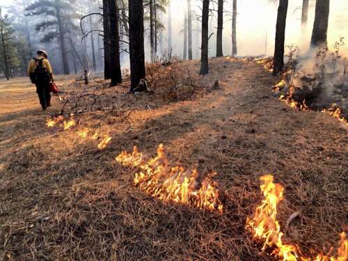 As U.S. Forest Service prescribes more fire, rangers work to convince ...