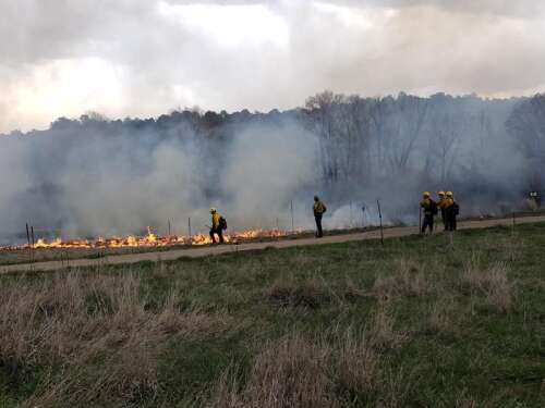 Grass fire contained near Highway 172 - The Journal
