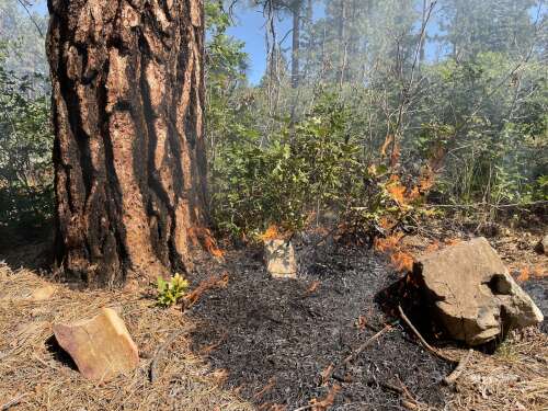 Dry Lake fire 47% contained after fuel reduction - The Durango Herald