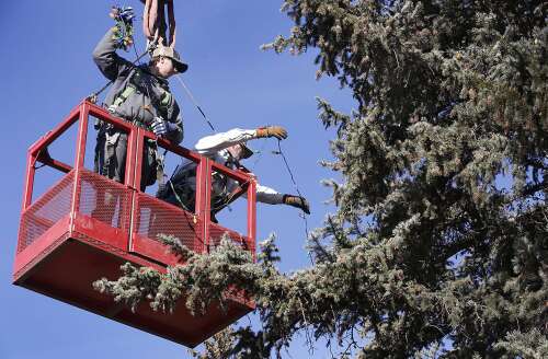 Photos: Durango’s community Christmas tree wrapped in lights - The ...