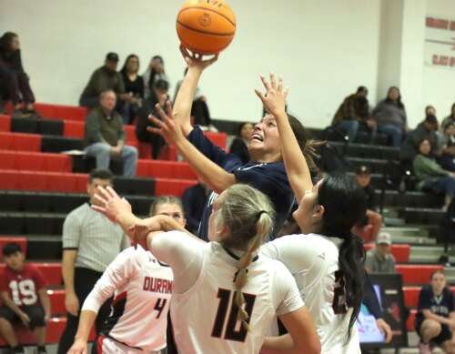 Free throw by Jamie Pierce lifts Piedra Vista over Durango, 38-37 - The ...