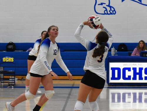 Roundup: Panthers softball earns postseason bid; volleyball teams ...