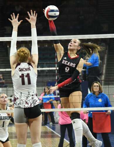 Bears bow out of volleyball state tournament after spectacular season ...