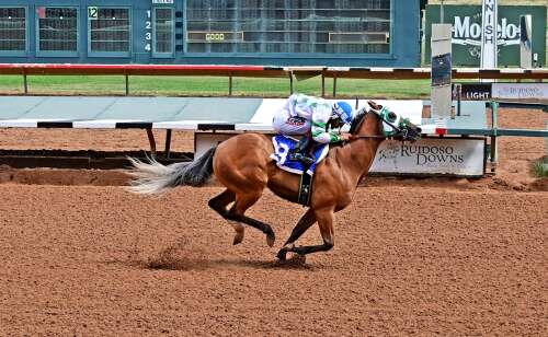 Dark NME remains unbeaten heading to All American Futurity - The ...