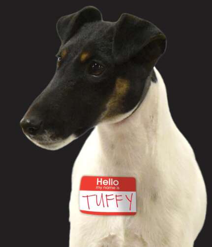 A dog by any other name - The Journal