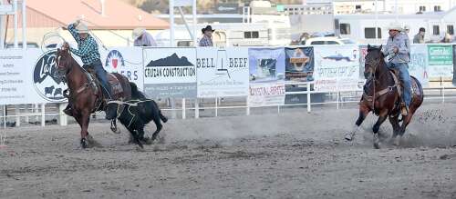 Ute Mountain Roundup Rodeo opens Thursday in Cortez - The Tri-City Record