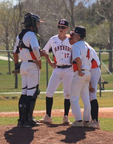 Panthers, Bulldogs enter final stretch in baseball - The Journal