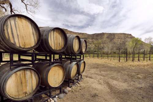 Best bets: Key events in Farmington, Bloomfield and Aztec - The Tri ...