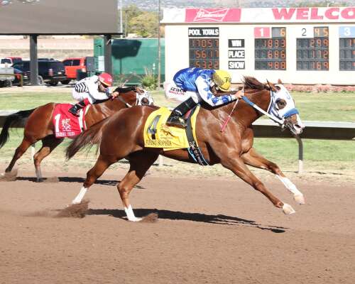 Racing season nears finish line at Albuquerque Downs - The Tri-City Record