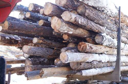 Interior Department awards $1M to Wood for Life to help heat Indigenous ...