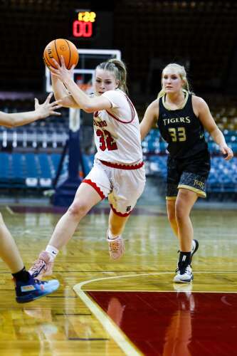 Rowland earns First Team All-State honors - The Durango Herald