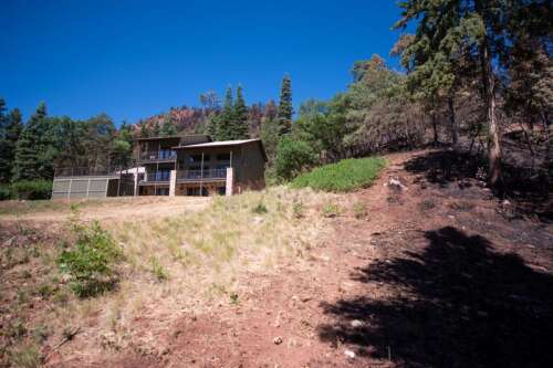 Years of fire mitigation pays off in Falls Creek Ranch - The Durango Herald