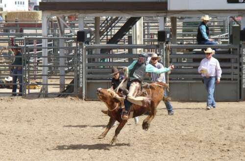 Two from Durango off to National Junior High Finals Rodeo - The Durango ...