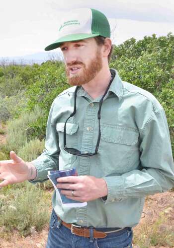 Land Conservancy names Leibowitz new executive - The Journal