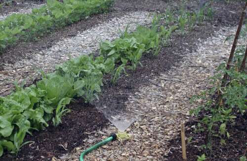 High Desert Conservation District presentation - The Journal