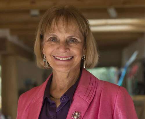 Anne Hillerman returns with new novel - The Durango Herald