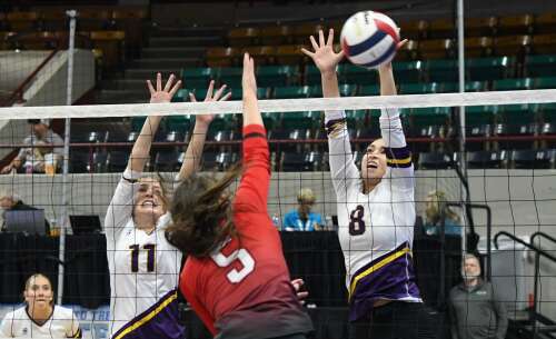 Wolverines volleyball falls in five at state - The Durango Herald