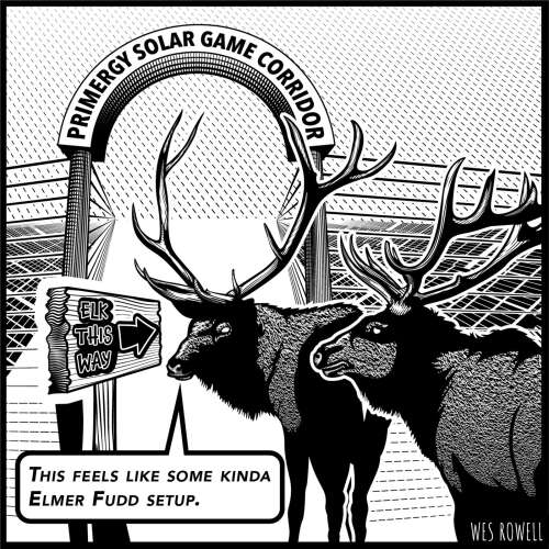 Wes Rowell cartoon - The Durango Herald
