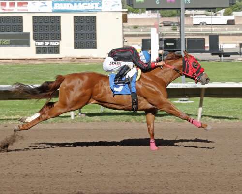 Highly Lethal V breaks course record in Ruidoso Futurity romp - The Tri ...