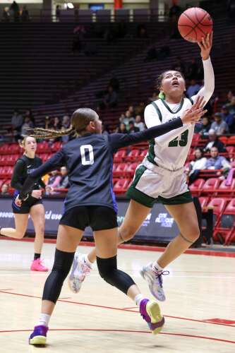 Eight basketball players named to all-state roster - The Tri-City Record