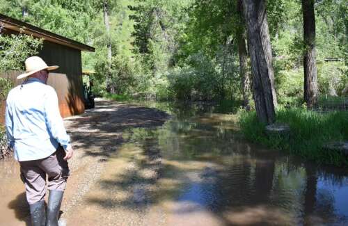 Residents report flooding along Dolores River - The Durango Herald