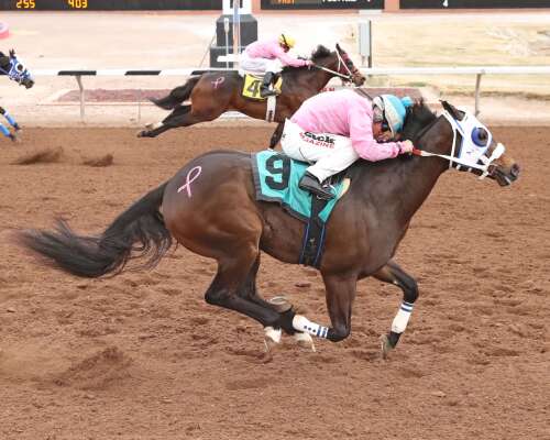 West Texas Derby, Sunburst Stakes top Sunland weekend - The Tri-City Record