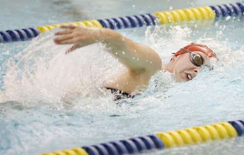 DHS swimmers conclude season at state - The Durango Herald