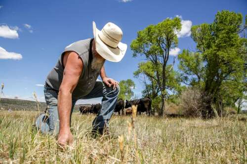 As drought deepens, a Colorado ranching family prays for rain - The Journal