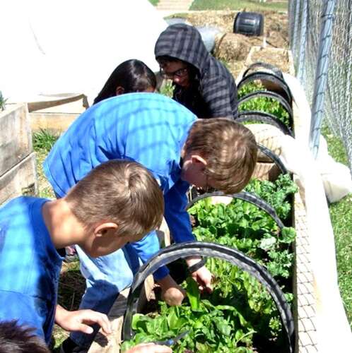 Linking school instruction to real world - The Journal