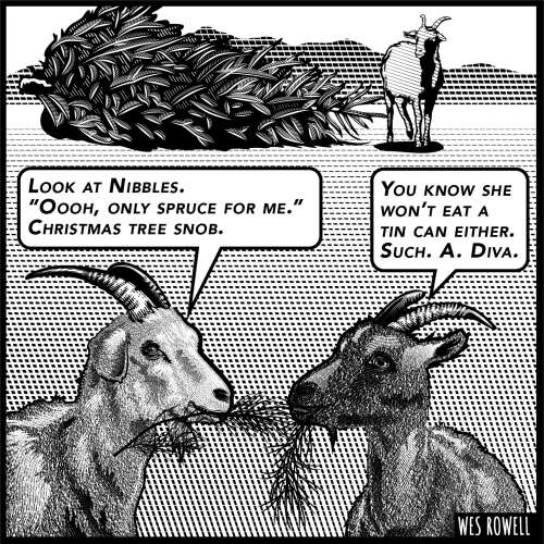 Wes Rowell cartoon - The Durango Herald
